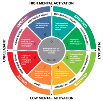What Is The Russell Circumplex Model?